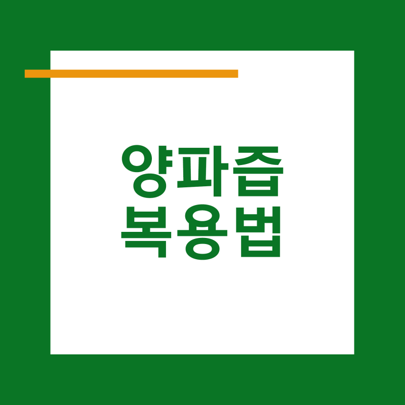 양파의 효능 자색 양파 효능 빨간 양파즙 생양파 껍질 차 와인 복용법 뇌종양 유방암에 좋은 항암 치료 음식 퀘르세틴 부작용 혈압