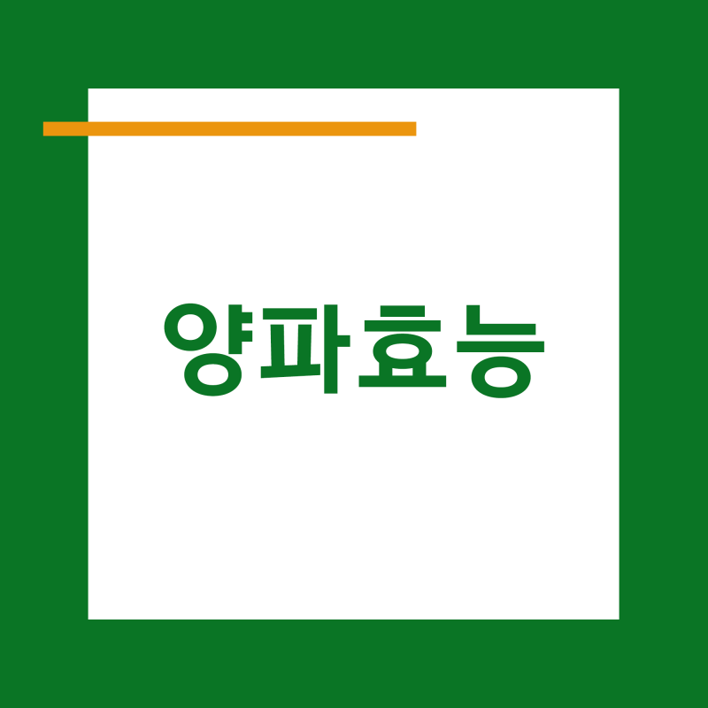 양파의 효능 자색 양파 효능 빨간 양파즙 생양파 껍질 차 와인 복용법 뇌종양 유방암에 좋은 항암 치료 음식 퀘르세틴 부작용 혈압