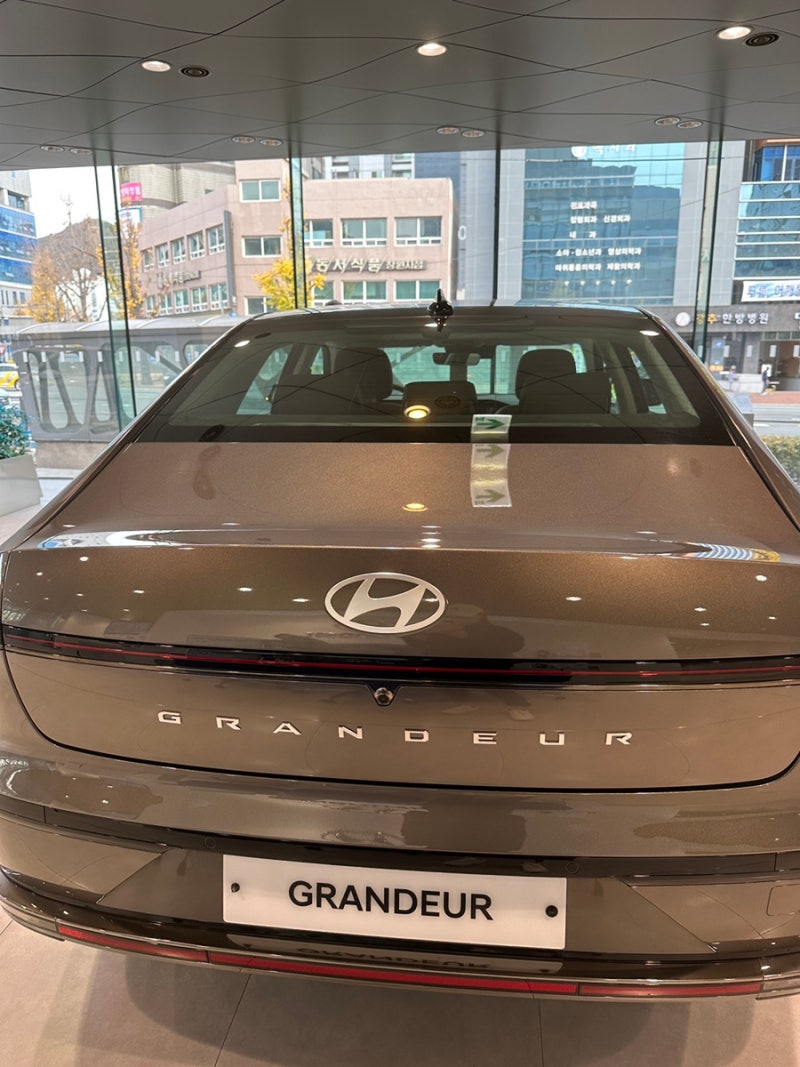 그랜저 gn7 유기브론즈 / 그랜저 gn7 인디고 브라운 : 네이버 블로그