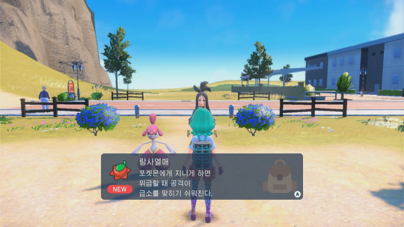 포켓몬스터 스칼렛 바이올렛 노력치 감소 열매 구하는 방법마리네이드 마을 경매 품목 리셋 방법 베이크 마을 엑서사이즈 보상