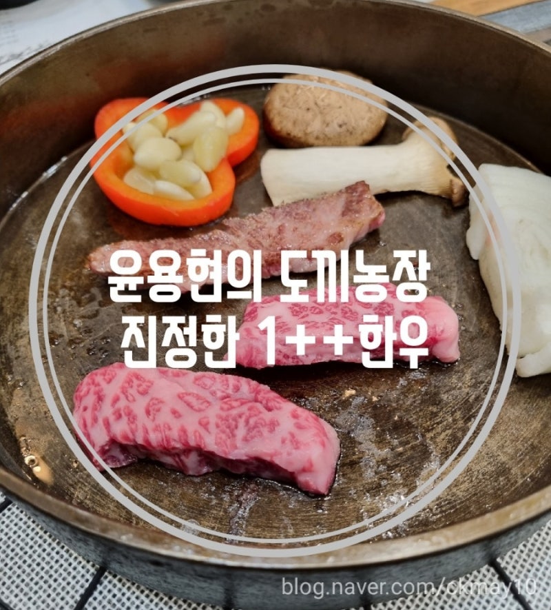 세종시한우맛집윤용현의 도끼농장최상급 투뿔1 한우가 있는 정육식당 에서 발견한 맛있는 금도끼 네이버 블로그