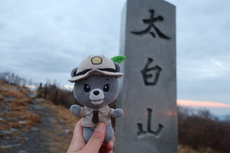 태백산국립공원 태백산 등산코스 유일사코스 일출산행 네이버 블로그