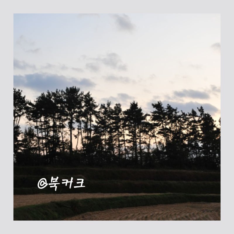 좋은 시 추천 신경림 시인 농무 가난한 사랑노래 인생시 감성시 네이버 블로그