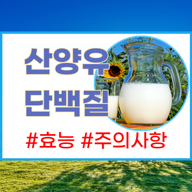산양유 단백질 분말 가루 파우더 효능과 부작용 알아봐요 네이버 블로그