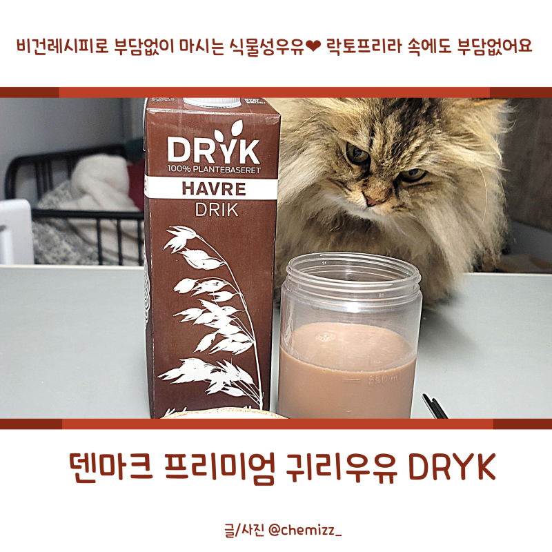 비건레시피로 만든 식물성우유 덴마크 프리미엄 귀리우유 Dryk W오트드링크바리스타 And 카카오 네이버 블로그