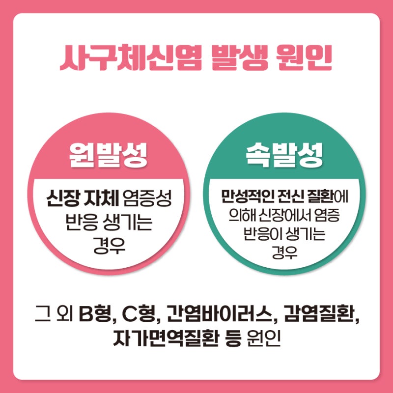 사구체신염 증상이 없어 더 위험한 신장 질환 네이버 블로그