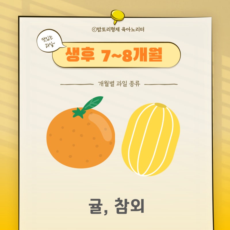 아기 과일시기 언제부터 과일종류w아기 과즙망 네이버 블로그
