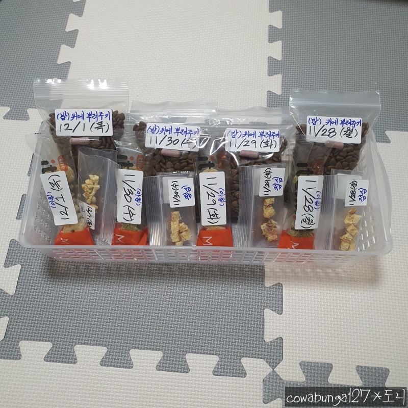 일본 여행교토오사카 D 1 짐 싸기백신 접종증명서visit Japan Web패스트 트랙 네이버 블로그