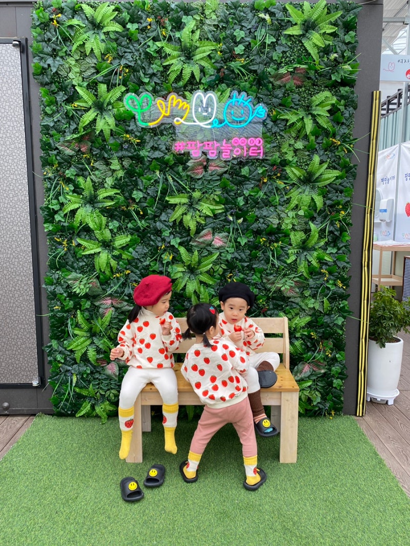 용인딸기체험 팜팜놀이터 신상 실내놀이터 네이버 블로그