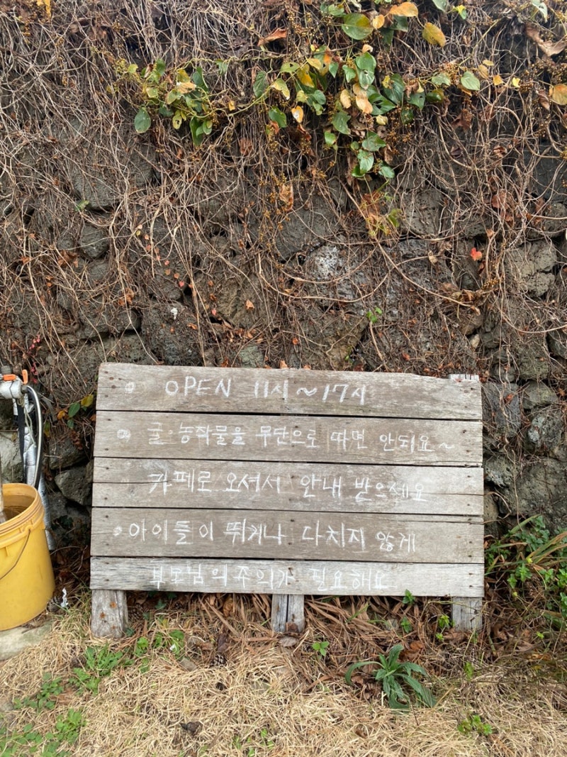 제주도 협재해수욕장 근처 귤 따기 체험 가능한 카페 ‘귤한가 네이버 블로그