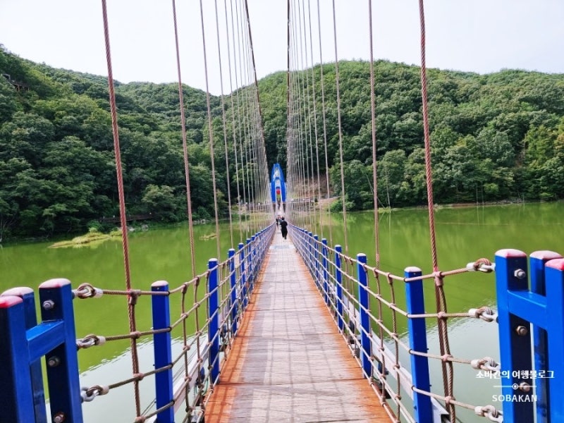 충남 청양 칠갑산 정상 등산코스 가볼만한곳 네이버 블로그