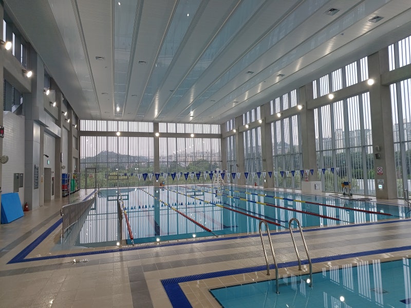서울수영장서울숲 서울숲복합문화체육센터 토요일 자유수영 방문기 네이버 블로그