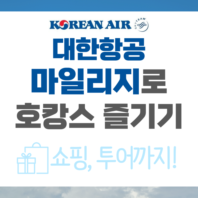 대한항공 마일리지 잘 사용하기 Feat 마일리지몰 쇼핑 호텔 투어까지 네이버 블로그