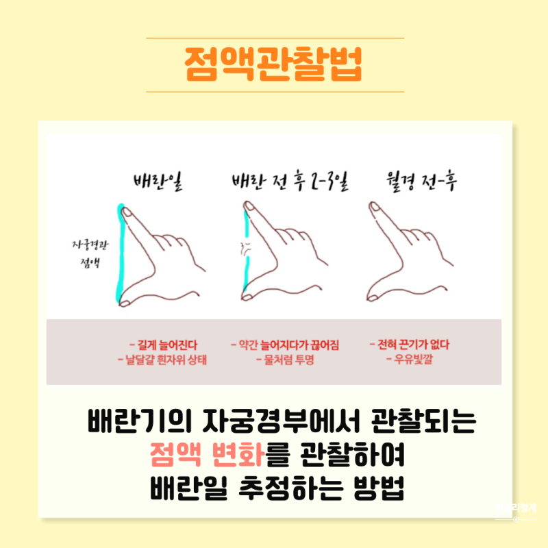 배란기 증상배란통출혈냉w배란일 계산기총정리 네이버 블로그
