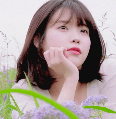 아이유 중단발헤어스타일(허쉬 컷, 레이어드 컷, 빌드 펌, c컬 펌, 웨이브 펌) : 네이버 블로그