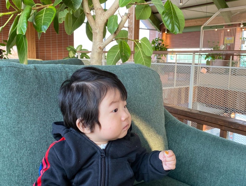 11개월 아기옷 & 90호 사이즈비교(아가방, 압소바, 등등..) : 네이버 블로그