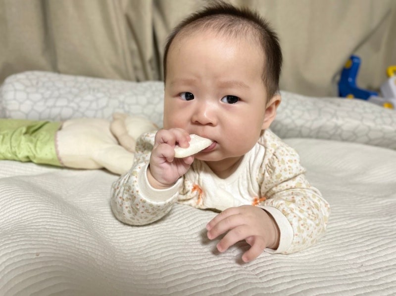 떡뻥 먹는 시기 언제부터 하루 몇개 줄까? : 네이버 블로그