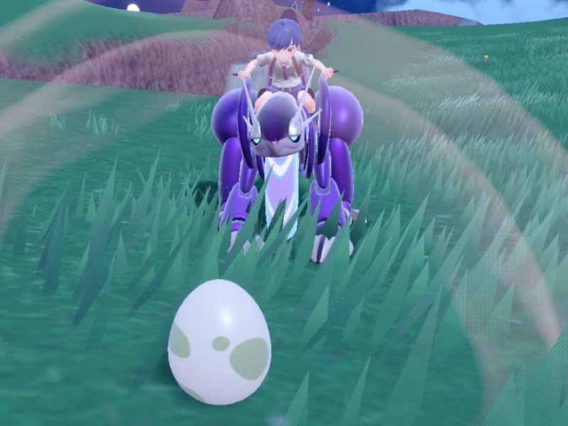 포켓몬스터 스칼렛 / 바이올렛 공략 - 알까기 하는 방법 & 고개체 유전 & 기술 유전 (알기술 가르치기) 방법 : 네이버 블로그