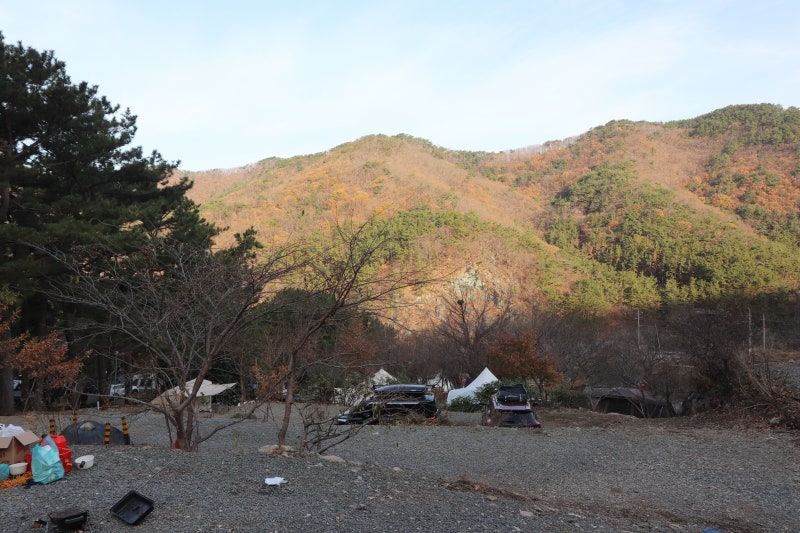 자연을 듬뿍 느낄 수 있는 창원휴양림오토캠핑장이용 후기 네이버 블로그