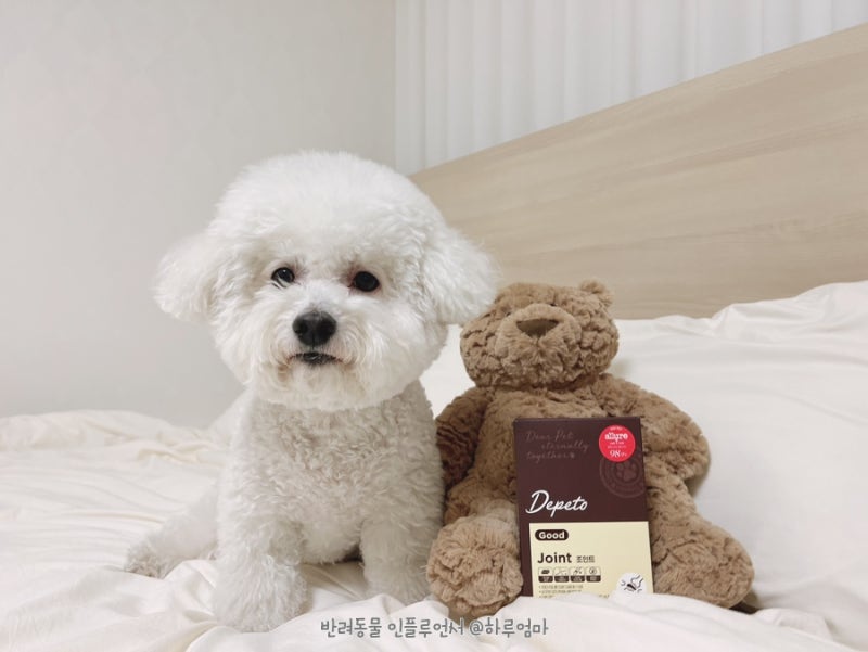 강아지 다리 절뚝 뒷다리 걱정에 준비한 관절영양제 네이버 블로그