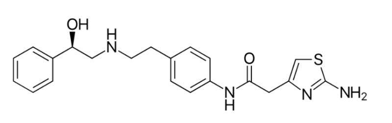 베타미가서방정50mg 성분 기전 부작용 및 주의사항 과민성방광 원인 및 증상 축천환 등 한약 치료 미라베그론