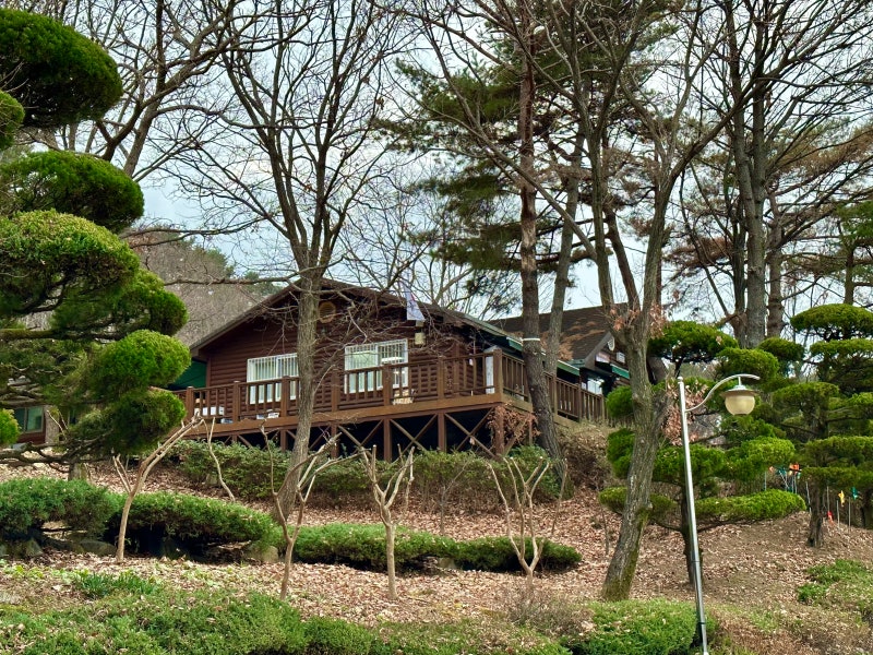 양산 대운산 자연휴양림 캠핑장 알아보기 야영데크 숲속의집 카라반 예약 등 네이버 블로그