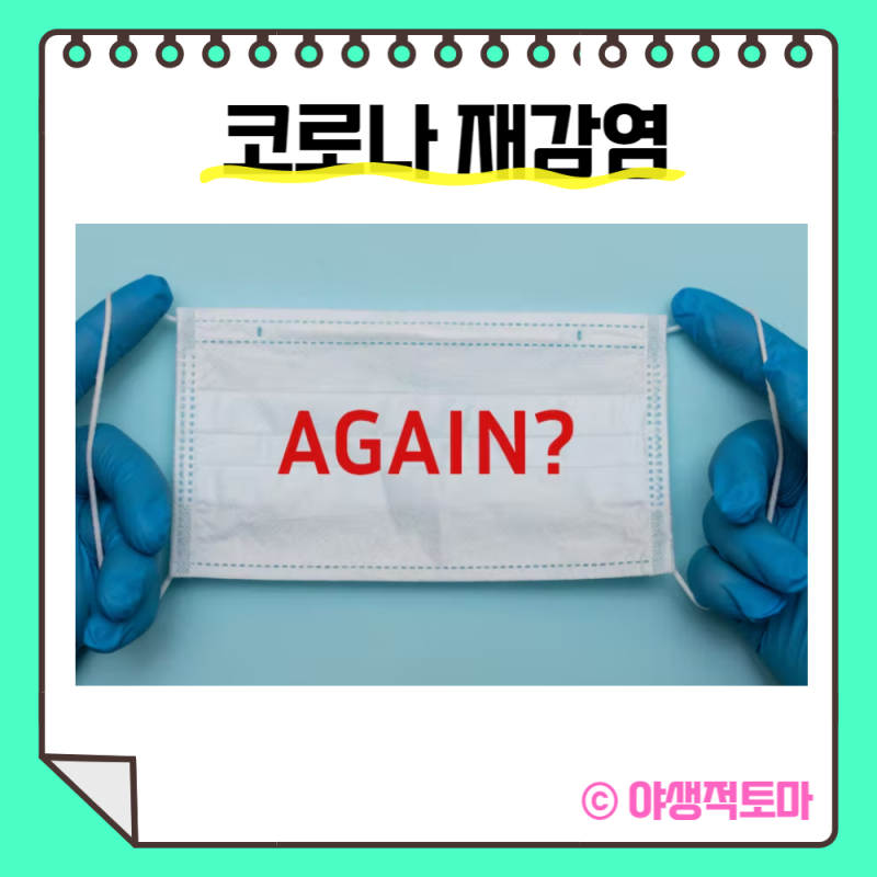 코로나 재감염 코로나 재감염 기간 증상 확률 격리 지원금 네이버 블로그