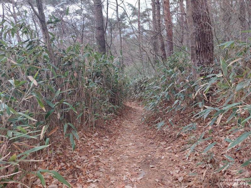 광주 무등산 등산코스 원효사주차장~서석대~입석대~장불재~규봉암 네이버 블로그