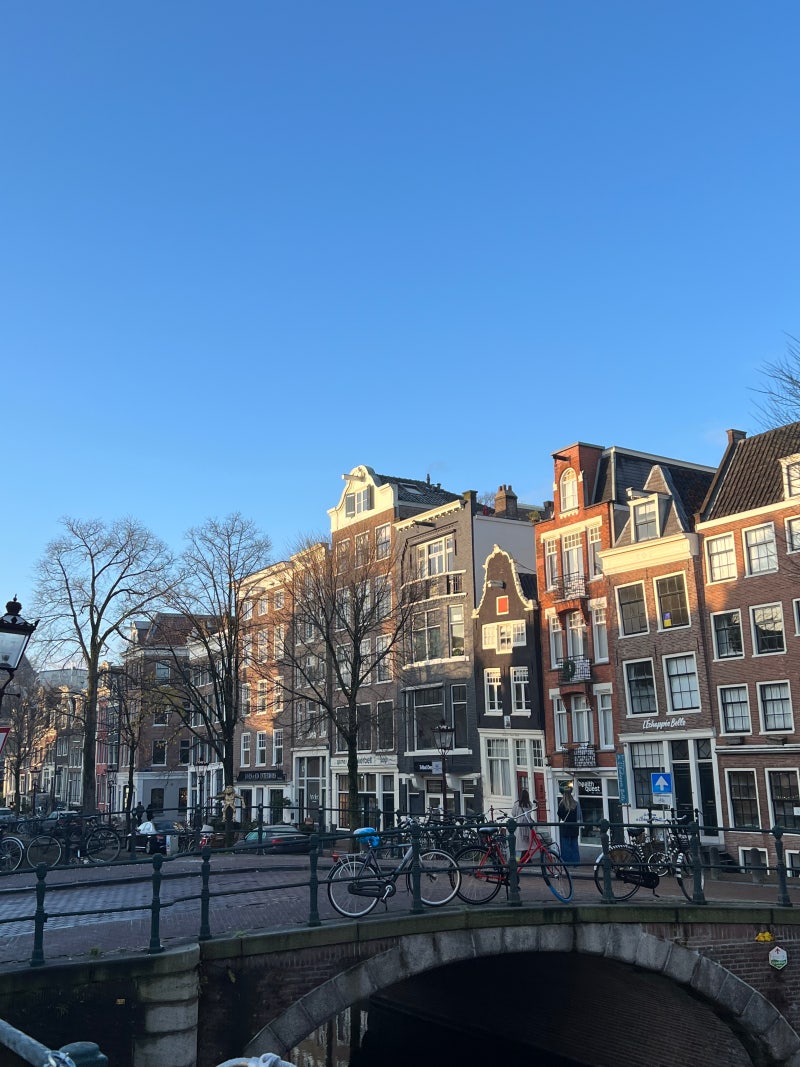 🇧🇪 벨기에 브뤼셀 Day 3 네덜란드 암스테르담에서 벨기에 브뤼셀 그랑플라스 광장 오줌싸개 동상 홍합찜