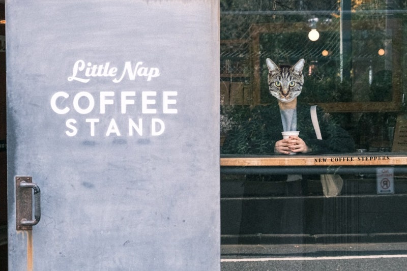 [도쿄 시부야 카페] 리틀 냅 커피 스탠드(Little nap coffee stand) - 감성사진을 남길 수 있는 빈티지 카페 ...