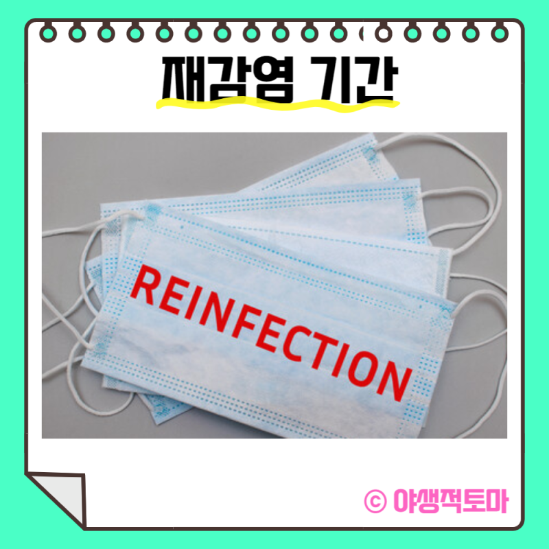 코로나 재감염 코로나 재감염 기간 증상 확률 격리 지원금 네이버 블로그
