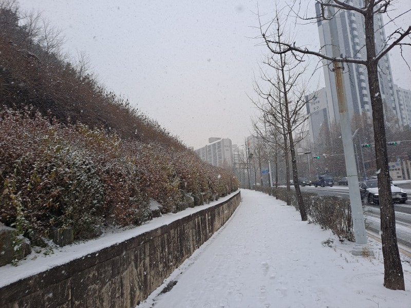 장기요양등급 신청 및 심사·재심사 청구 방법 네이버 블로그