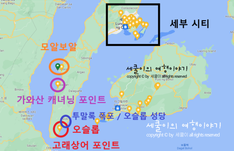 세부자유여행 세부 모알보알 투어 거북이 정어리떼와 스노쿨링하기 필리핀 세부 여행 추천 네이버 블로그