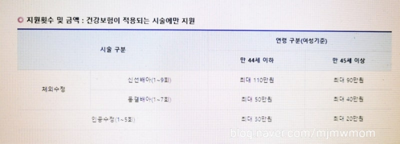 난임정부지원 대상 난임지원 신청방법 및 난임진단서 받기 네이버 블로그
