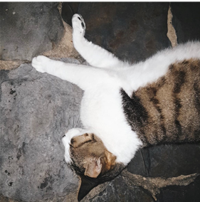 DAL-GU 선정 학생만족도 1위 대학교?! DGIST 복지 소개 "거주 시설편" : 네이버 블로그