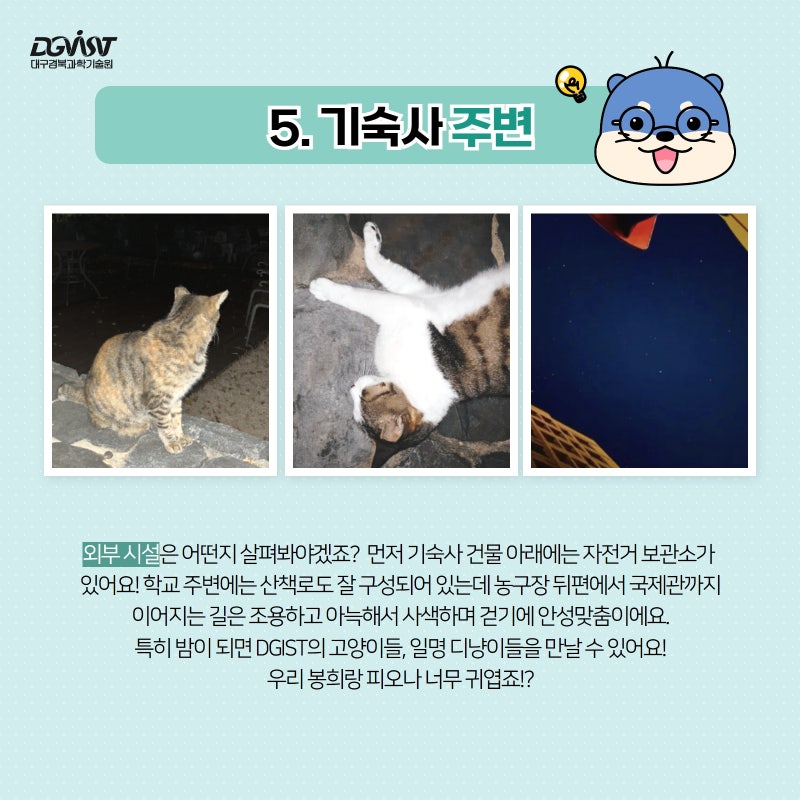 DAL-GU 선정 학생만족도 1위 대학교?! DGIST 복지 소개 "거주 시설편" : 네이버 블로그