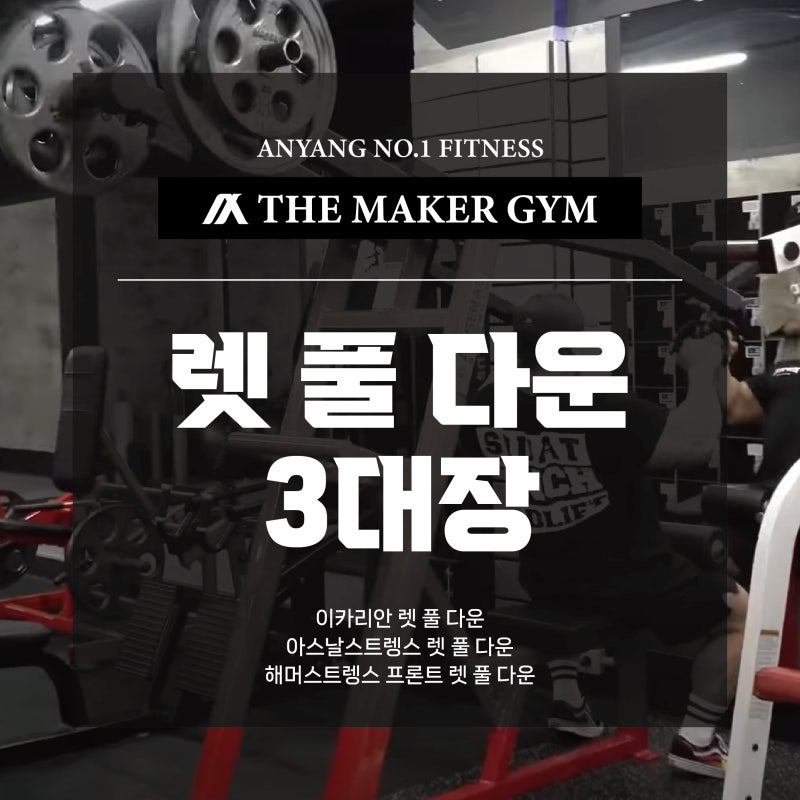 안양헬스 명학헬스 더메이커짐 렛 풀 다운 사용법 네이버 블로그
