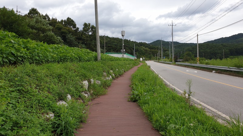 전라북도 남원시 노암동 어현동 춘향테마파크 광한루원 남원 부동산 양림단지 음식점 카페 주택 식당 상가 부동산매매 전라도 노암동