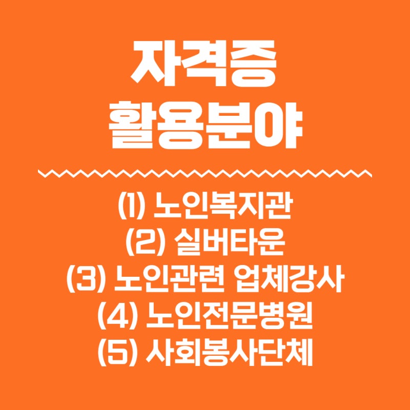 노인심리상담사 자격증 취득방법과 활용분야 네이버 블로그
