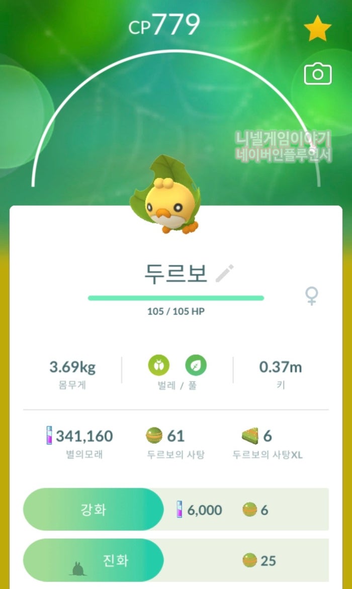 포켓몬고 두르보, 두르쿤 진화 모아머 졸업스킬 : 네이버 블로그