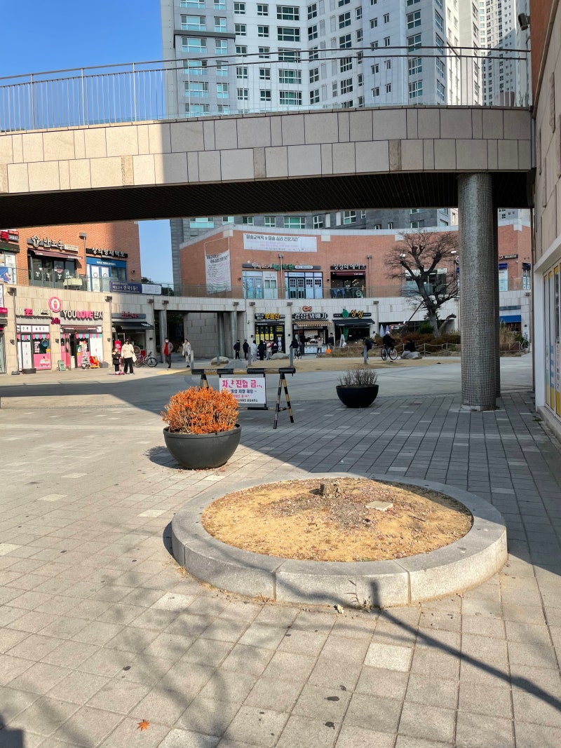 마산밥집 양덕동 메트로시티 스시 맛집 친절 신선한 스시브로 솔직후기 네이버 블로그