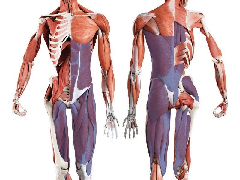 [신성동 헬스/신성동 필라테스] 헬스와 필라테스를 두 가지의 운동을 동시에?? : 네이버 블로그