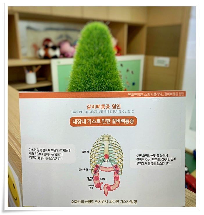 여자 왼쪽 갈비뼈 통증 주된 이유와 치료 네이버 블로그