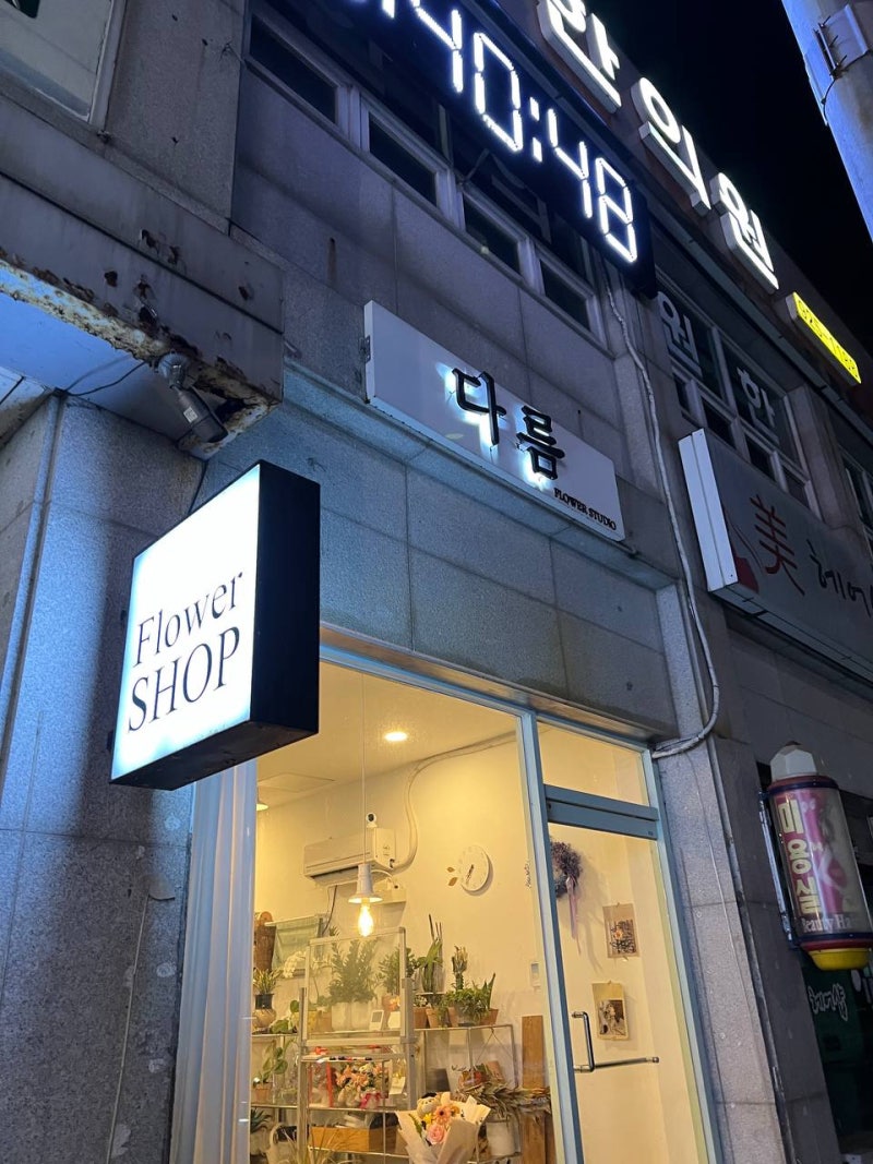 일산꽃집 다름플라워스튜디오에서 원데이클래스 크리스마스 리스 만들기 네이버 블로그