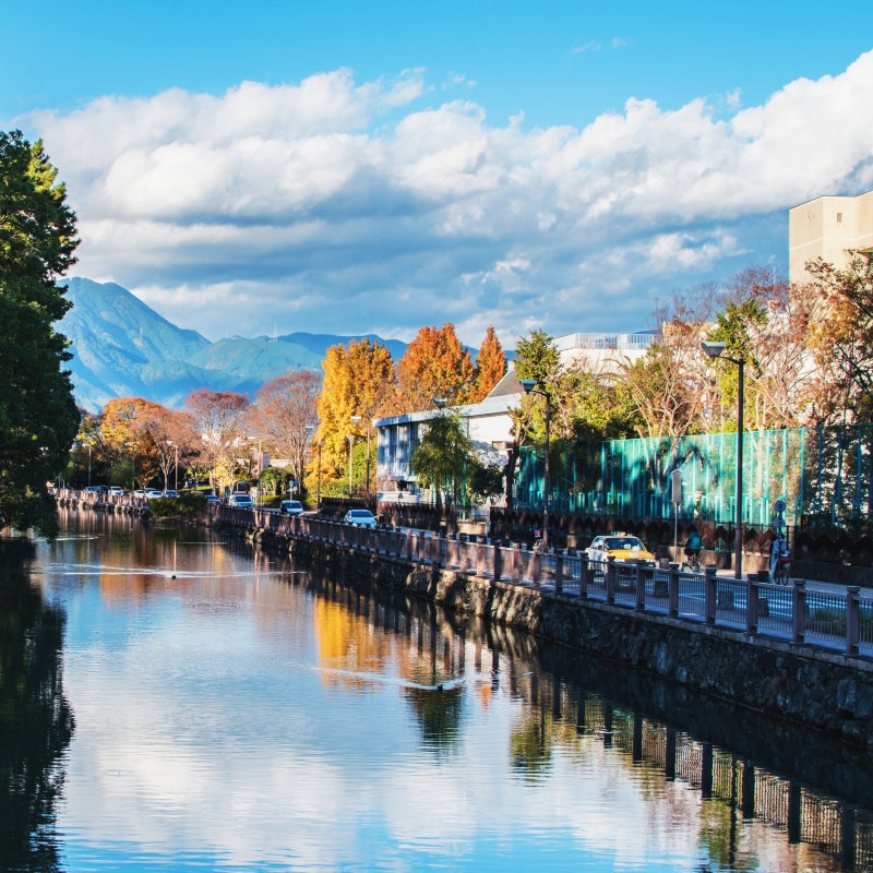 일본어 자격증 및 시험 종류 (JLPT JPT SJPT EJU BJT FLEX) : 네이버 블로그