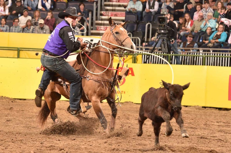 송아지 올가미 묶기 Calf Roping : 네이버 블로그