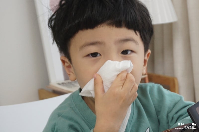 어린이 유아 비염 잠잘 때 아기 코막힘 완화 다래추출물 네이버 블로그