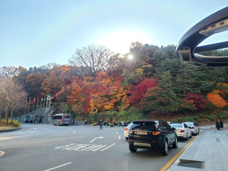 숲속 산장 느낌 조용한 호텔 워커힐 더글라스하우스 네이버 블로그