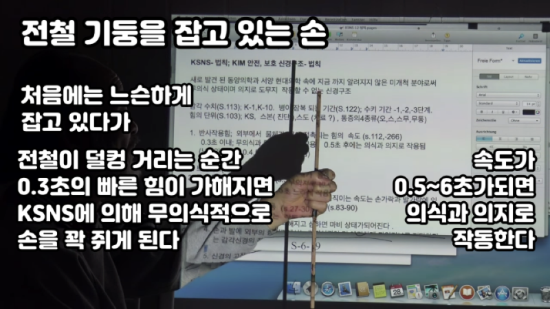 104. 스키, 스케이트 운동 시 중요한 근육과 신경 구조 KSNS KSS 스본 스도 : 네이버 블로그