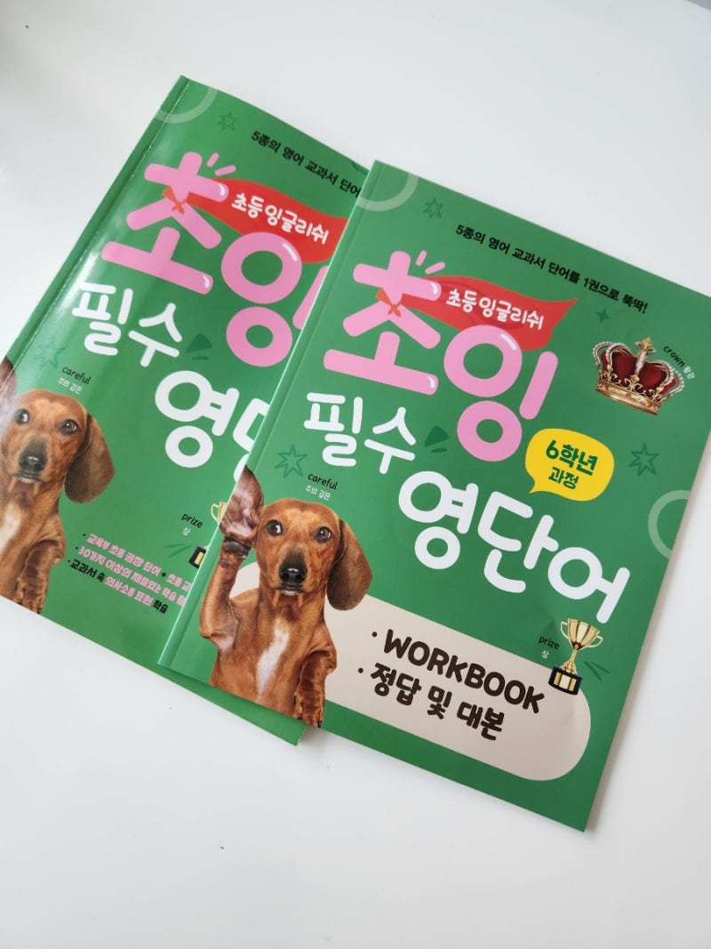 초등영어단어 초잉 필수 영단어 6학년 네이버 블로그